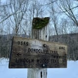Zealand Bonds Traverse, New Hampshire - 742 Reviews, Map | AllTrails