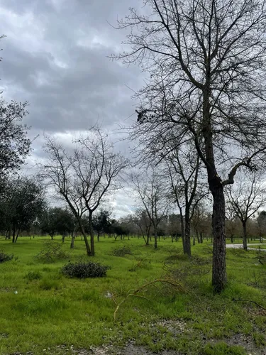 Best Hikes and Trails in Modesto | AllTrails