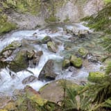 Santiam Wagon Road to House Rock, Oregon - 486 Reviews, Map | AllTrails