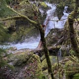 Santiam Wagon Road to House Rock, Oregon - 486 Reviews, Map | AllTrails