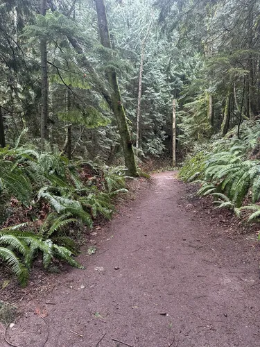 Best Hard Trails in Larrabee State Park | AllTrails
