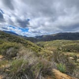 Morgan Trail, California - 536 Reviews, Map | AllTrails