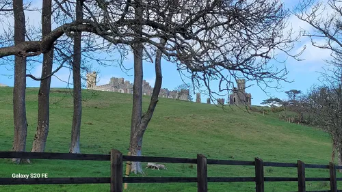 Best Hikes and Trails in Castle Freke Woods | AllTrails
