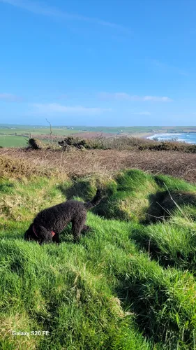 Best Hikes and Trails in Castle Freke Woods | AllTrails