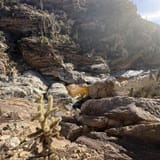 Tanque Verde Falls Trail, Arizona - 2,480 Reviews, Map | AllTrails