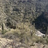 Tanque Verde Falls Trail, Arizona - 2,480 Reviews, Map | AllTrails