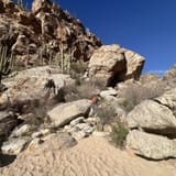 Tanque Verde Falls Trail, Arizona - 2,480 Reviews, Map | AllTrails