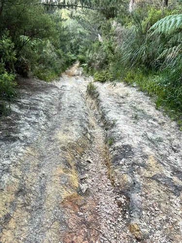 Best Short Trails in Riverhead Forest | AllTrails