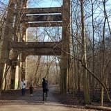 Moore Park Ravine Trail, Ontario, Canada - 1,270 Reviews, Map | AllTrails