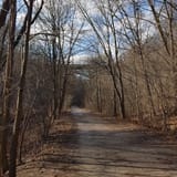 Moore Park Ravine Trail, Ontario, Canada - 1,270 Reviews, Map | AllTrails