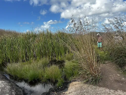 Best Views Trails in Walling Nature Reserve | AllTrails