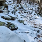 Kennedy Peak Loop, Virginia - 571 Reviews, Map | AllTrails
