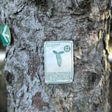 Okehocking Preserve Loop, Pennsylvania - 1,221 Reviews, Map | AllTrails