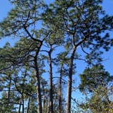 Brevard Zoo Linear Park Trail, Florida - 831 Reviews, Map | AllTrails