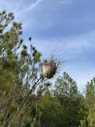 Best Hard Trails in Chera-Sot de Chera Nature Park | AllTrails