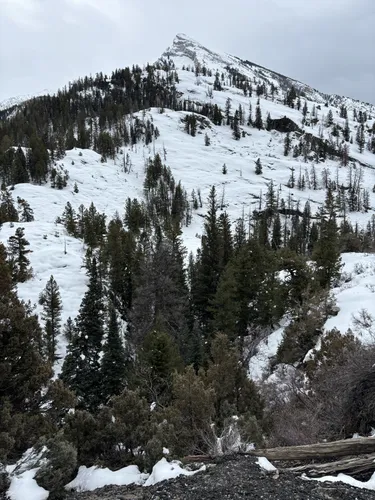 Best Hikes and Trails in Redstone | AllTrails