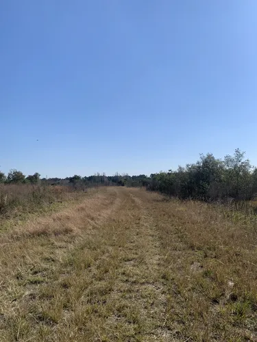 Best Hikes and Trails in Conner Preserve | AllTrails