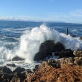 Terranea Discovery Trail, California - 1,375 Reviews, Map | AllTrails