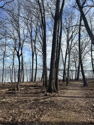 Best Hikes and Trails in Turville Park | AllTrails