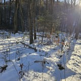 Zoar Trail, Connecticut - 2,148 Reviews, Map | AllTrails
