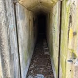 Fort Howard Park Trail, Maryland - 185 Reviews, Map | AllTrails