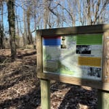 Fort Howard Park Trail, Maryland - 185 Reviews, Map | AllTrails