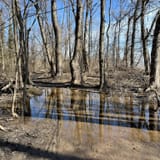 Fort Howard Park Trail, Maryland - 185 Reviews, Map | AllTrails