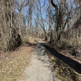 Fort Howard Park Trail, Maryland - 216 Reviews, Map | AllTrails