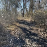 Fort Howard Park Trail, Maryland - 185 Reviews, Map | AllTrails