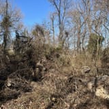 Fort Howard Park Trail, Maryland - 186 Reviews, Map | AllTrails