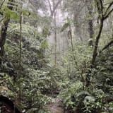 Enchanted Trail, Guanacaste, Costa Rica - 72 Reviews, Map | AllTrails