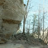 Raven Rock Loop Trail, North Carolina - 2,365 Reviews, Map | AllTrails