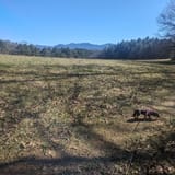Big Berea Trail, Bull Creek Trail, and White Pine Loop, North Carolina ...