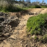 Apache Wash Loop Trail, Arizona - 1,919 Reviews, Map | AllTrails
