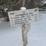 Lonesome Lake Trail, New Hampshire - 3,574 Reviews, Map | AllTrails
