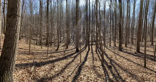 Best Hikes and Trails in Oak Ridge Conservation Park | AllTrails