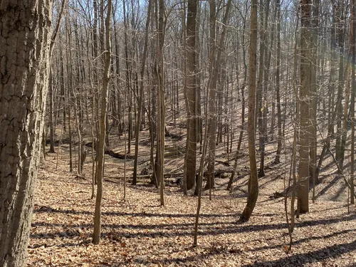 Best Hikes and Trails in Oak Ridge Conservation Park | AllTrails