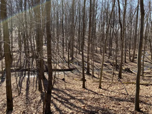 Best Hikes and Trails in Oak Ridge Conservation Park | AllTrails