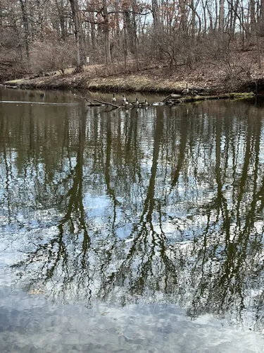 Best Hikes and Trails in Weldon Springs State Park | AllTrails