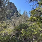 Cypress Trail to Boulders Loop, Arizona - 1,265 Reviews, Map | AllTrails