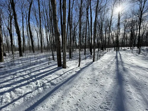 Best Hikes and Trails in Cap-Saint-Jacques Nature Park | AllTrails