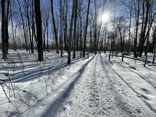 Best Hikes and Trails in Cap-Saint-Jacques Nature Park | AllTrails