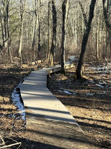 Best Hikes and Trails in Reading Town Forest | AllTrails