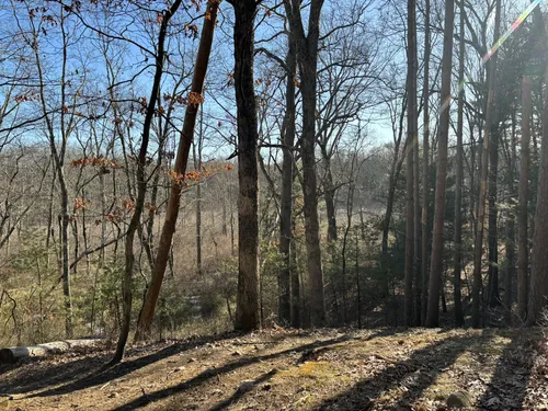 Best Hikes and Trails in Reading Town Forest | AllTrails