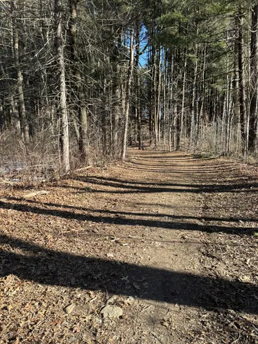 Best Hikes and Trails in Reading Town Forest | AllTrails