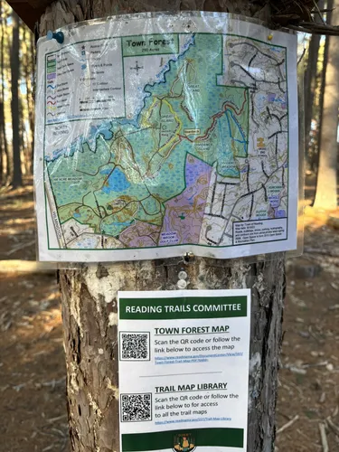 Best Hikes and Trails in Reading Town Forest | AllTrails