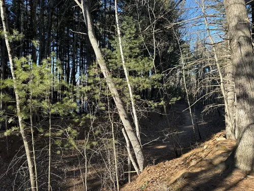 Best Hikes and Trails in Reading Town Forest | AllTrails
