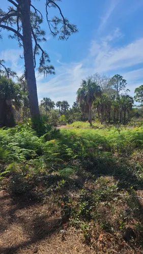 Best Hikes and Trails in Lemon Bay Preserve | AllTrails