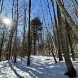 Inman Pond Trail, New York - 321 Reviews, Map | AllTrails