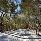 Inman Pond Trail, New York - 321 Reviews, Map | AllTrails